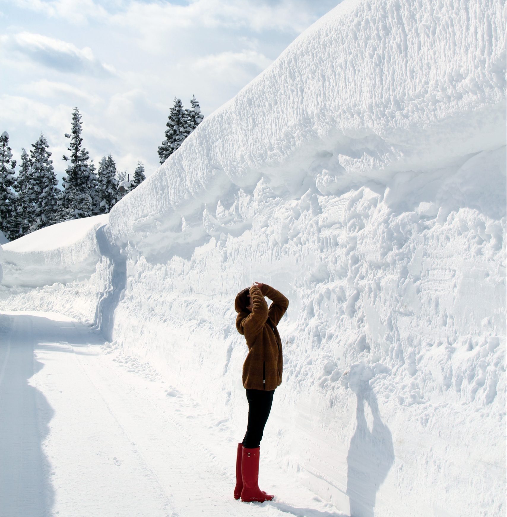 YUKIGUNI, beloved by great writers - YUKIGUNI-Lives shaped by snow