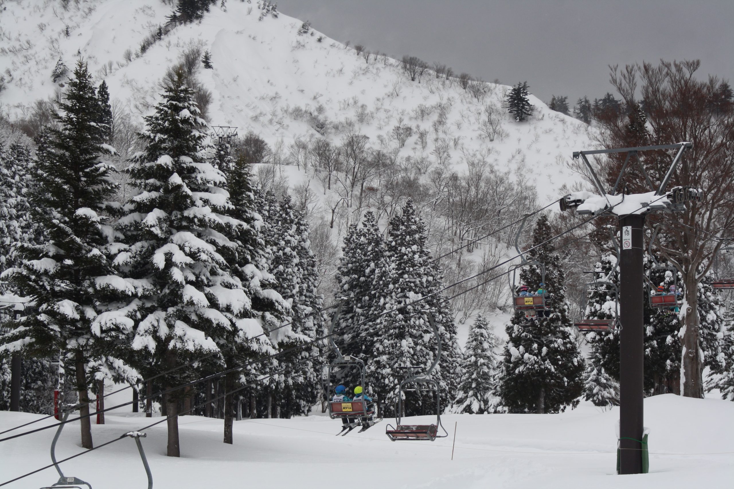 A Beginners Guide to Skiing in Snow Country - YUKIGUNI-Lives shaped by snow