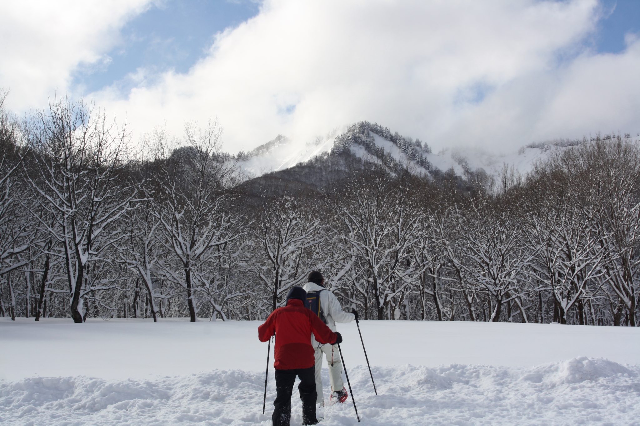 Living in Deep Snow: All about the Winter Culture of YUKIGUNI ...