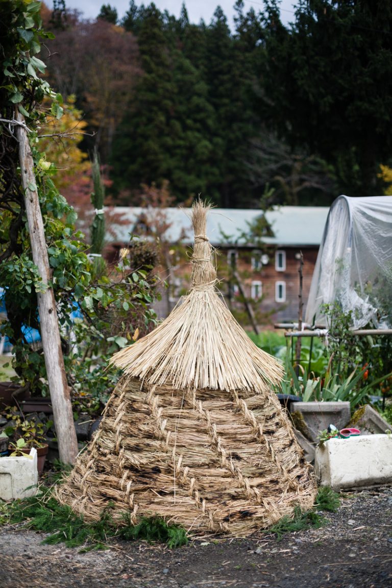 Living in Deep Snow: All about the Winter Culture of YUKIGUNI ...